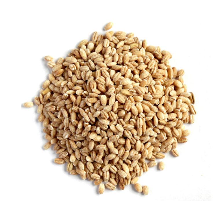 Wheat Pearled – Spice Centre