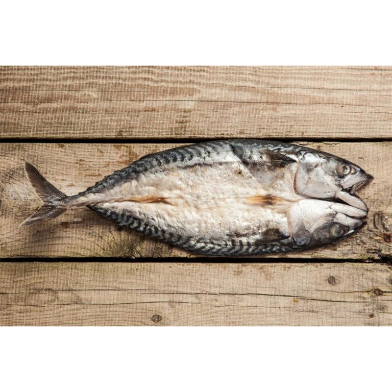 Salted Pig Tail – Spice Centre