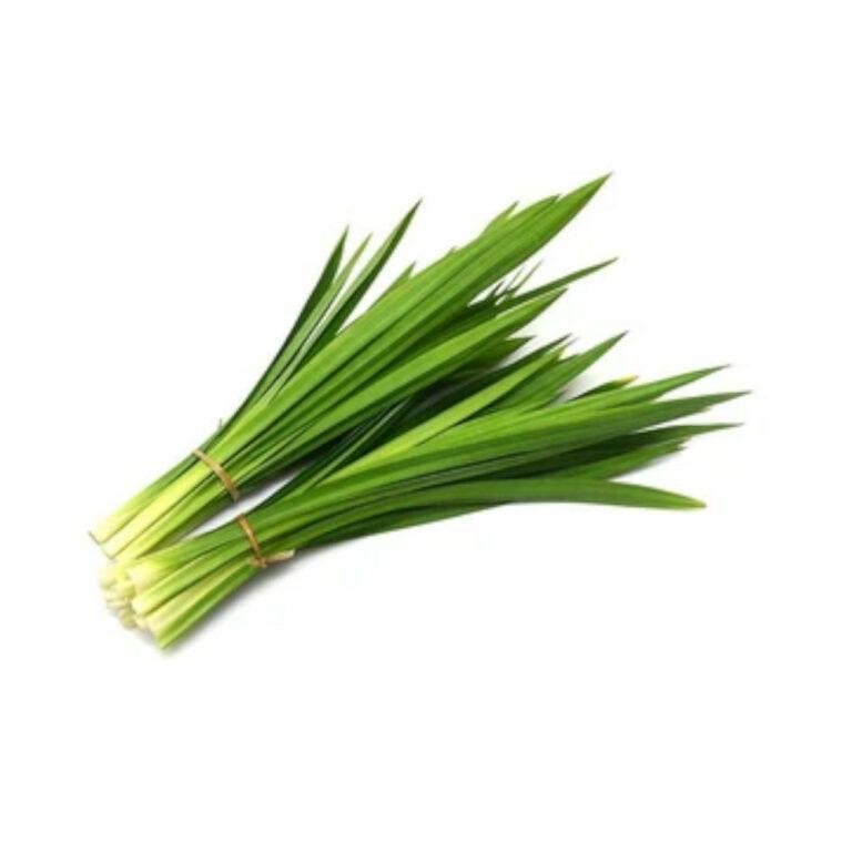 Rampe Leaves – Spice Centre